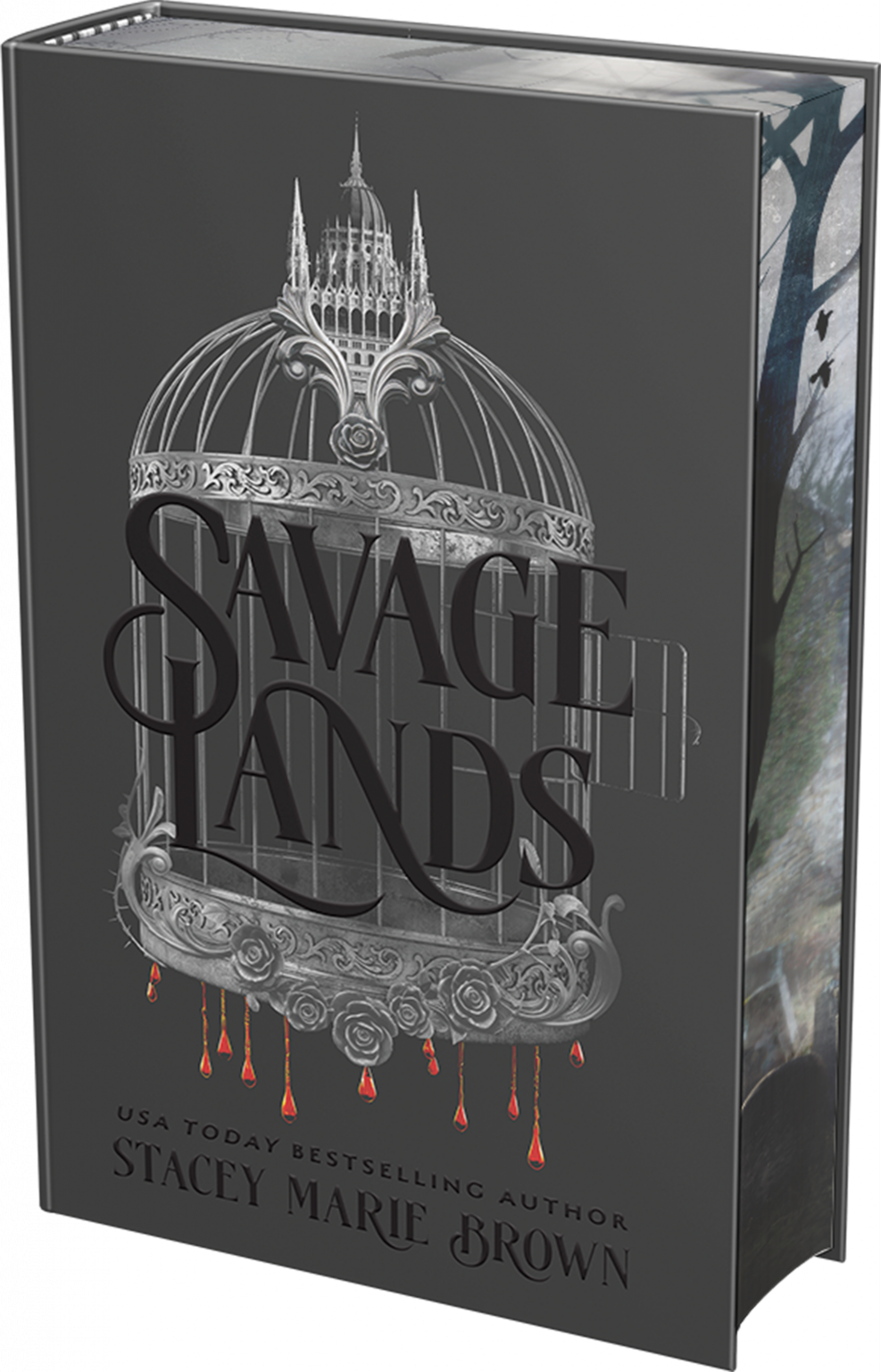 Savage Lands Exclusive Special Edition Cover Reveal! – Stacey Marie Brown